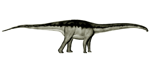 Los animales en la prehistoria: Animales prehistóricos con la letra H