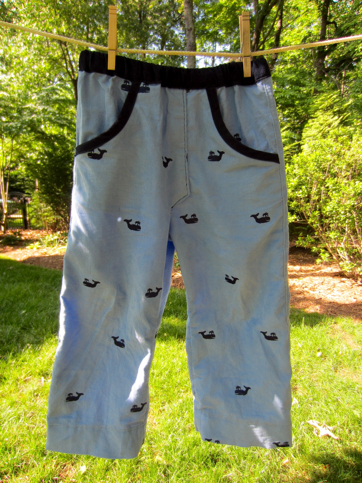 KCWC: Whale Pants