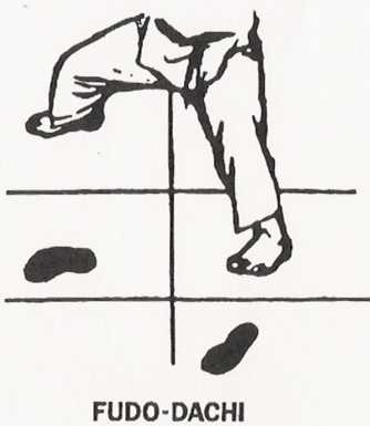 KARATÊ-DO: FUDO-DACHI (posição enraizada)