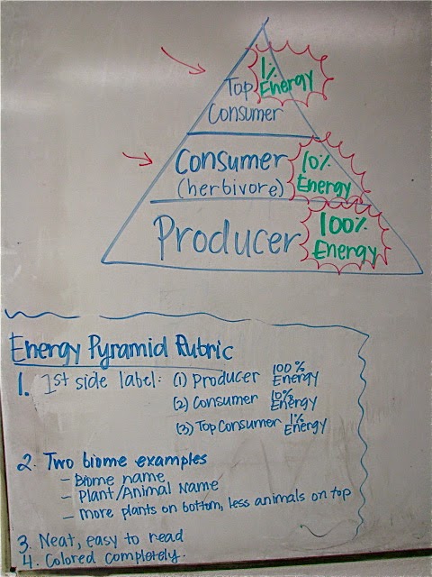 Teaching the Kid: Food Pyramids