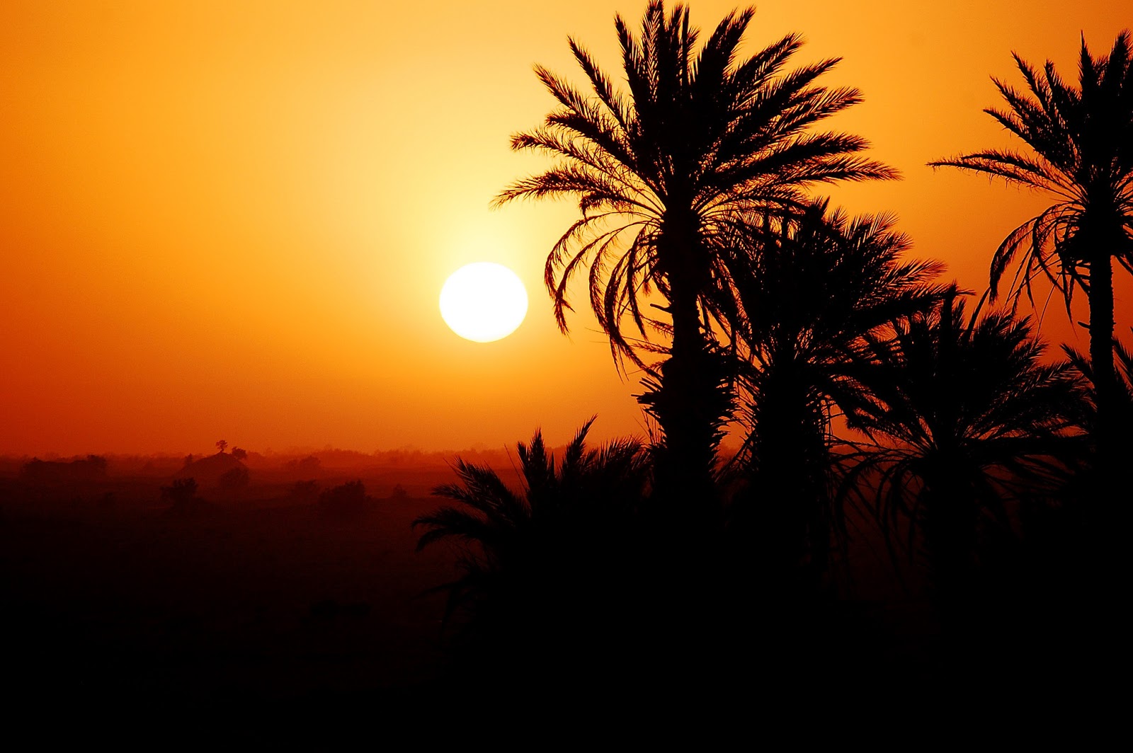 "Travels to Nowhere...": Wide Awake in the Sahara... a journey by camel.