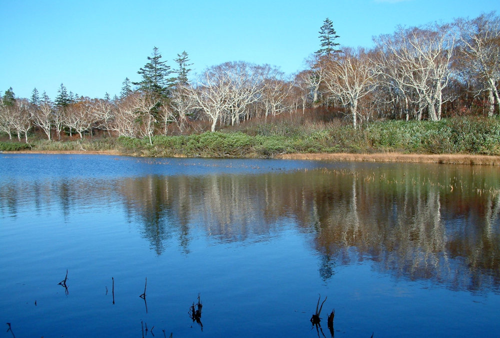 SHOTs rambling Japan: Shinsen-numa Marsh in Niseko (Hokkaido)