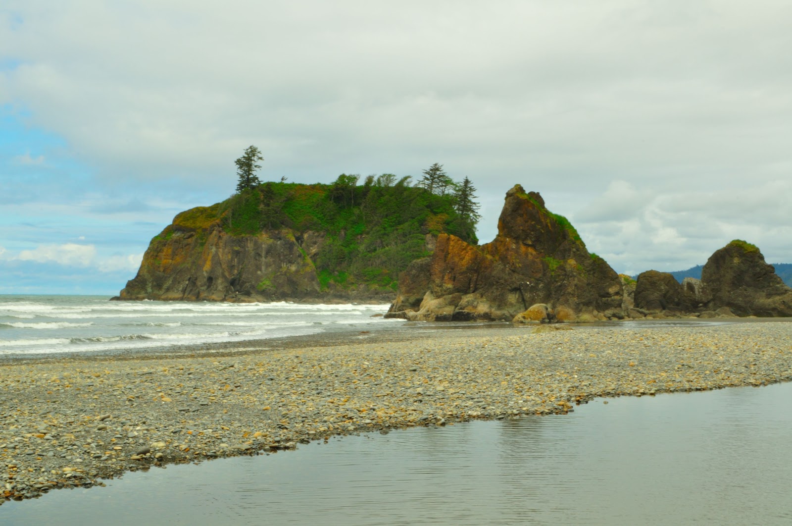 Travels, Trails and Tales: PNW Road Trip Day 8: Ruby Beach and the Hoh ...