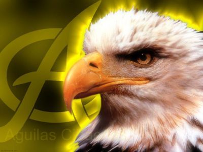 IMAGENES: AGUILA, AGUILAS, AGUILUCHOS