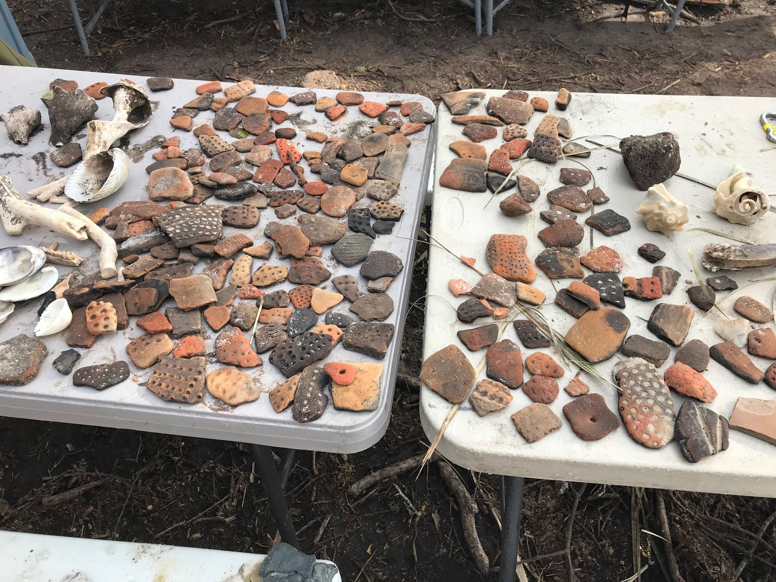 Notes from the Field: Erosion at Pockoy Shell Rings, SC