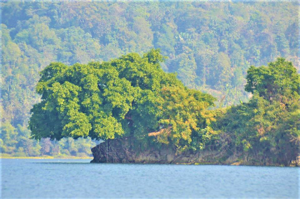 Welcome to Kaptai Lake - History and Travel-world heritage BD