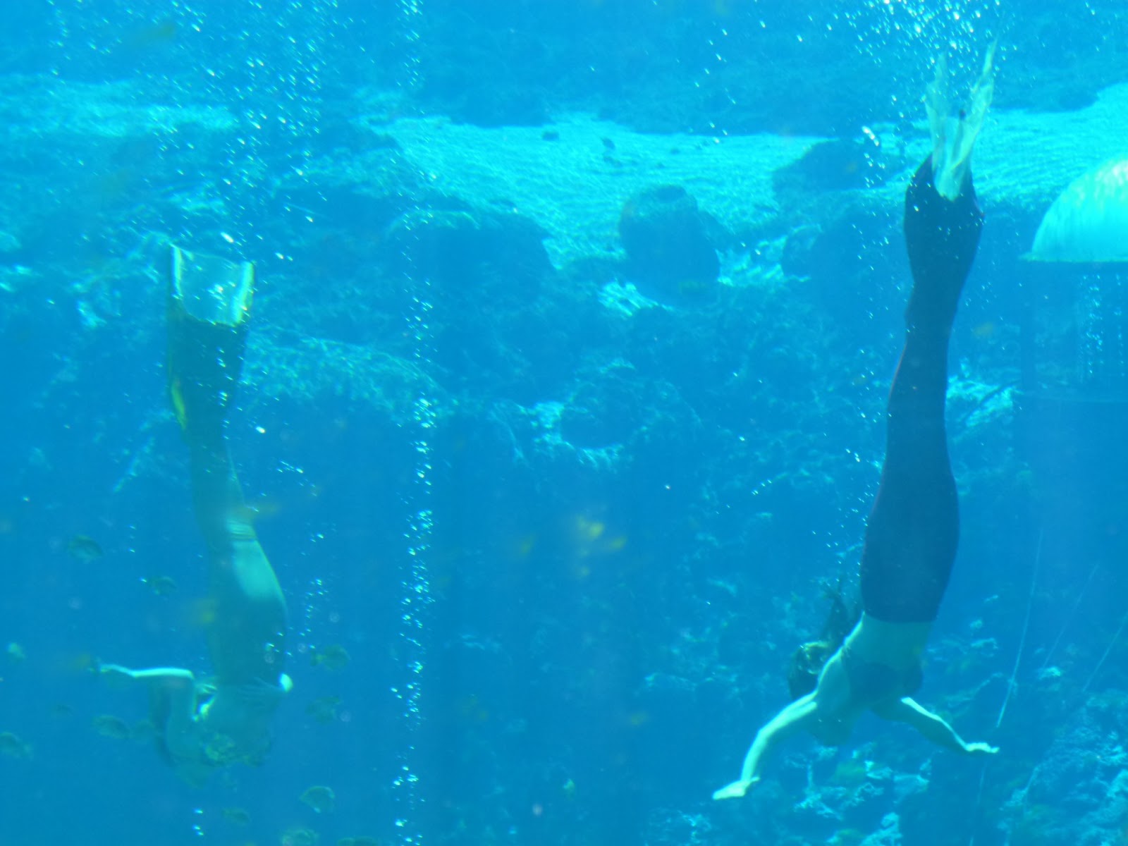 Stranded in Chaos: Vacation, part 4. Mermaids and goodbyes.