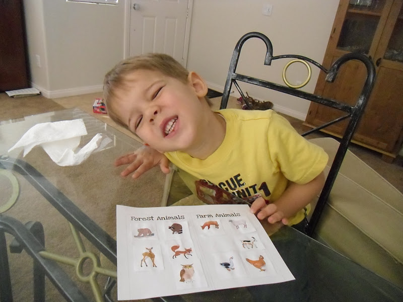 A Little of This...A Little of That...: Ask Mr. Bear