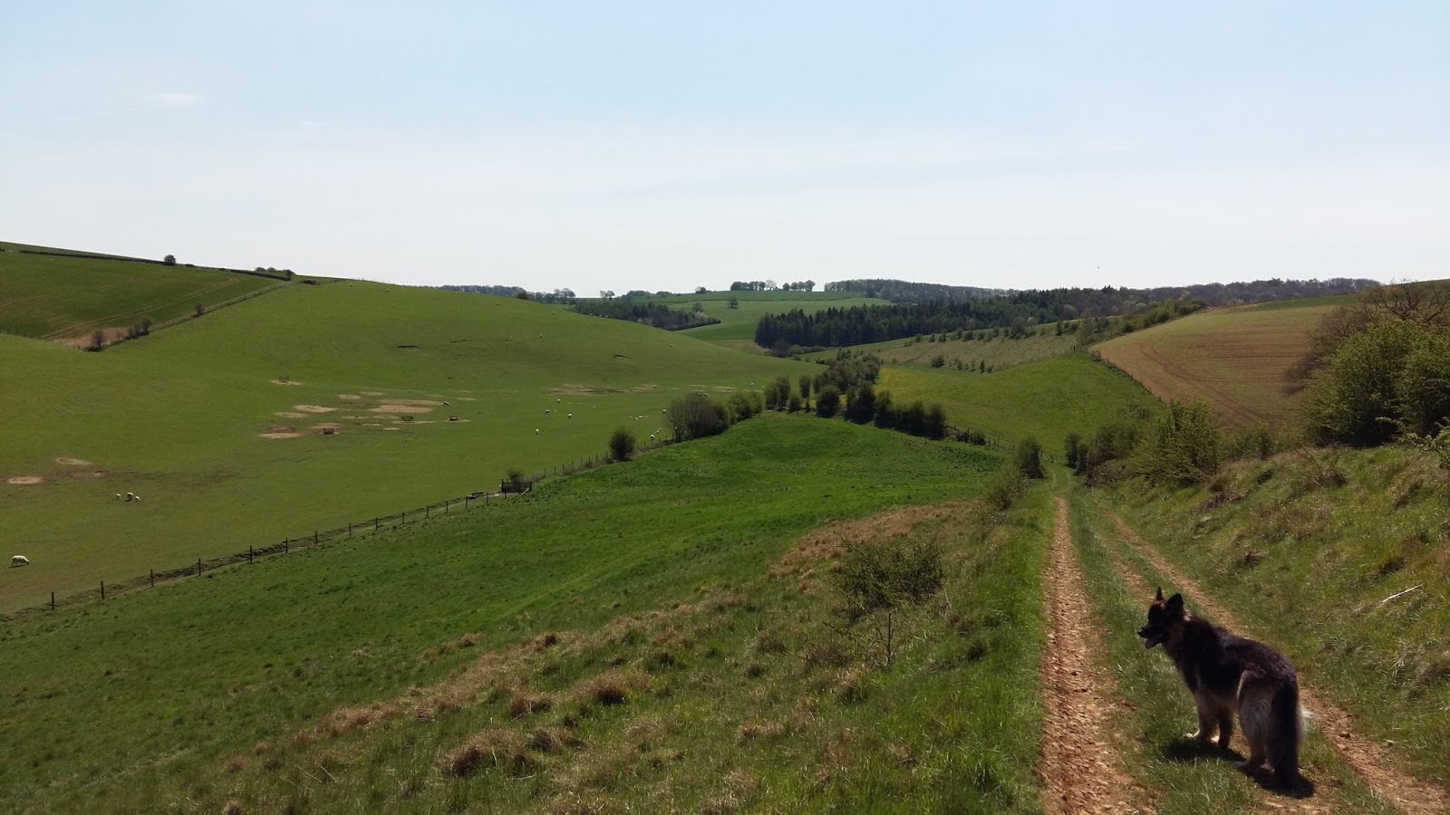 Cotswolds Travel: Idyllic Circular Walk Around Turkdean, Hazelton, and ...