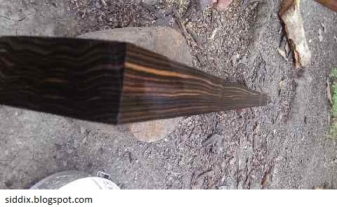 8 Jenis Kayu yang Digunakan Untuk Membuat Gitar Akustik - Siddix