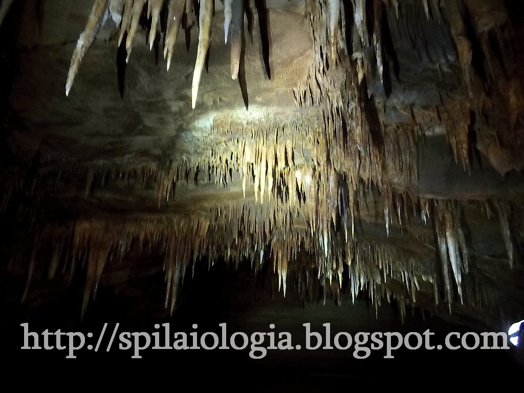 ΣΠΗΛΑΙΟΛΟΓΙΑ - SPELEOLOGY IN GREECE : ΣΠΗΛΑΙΟ ΥΠΟΓΕΙΟΣ ΠΟΤΑΜΟΣ ΑΓΓΙΤΗ ...