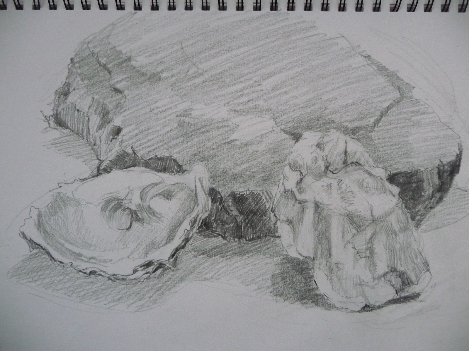 Sarah Hill's Art : Mark making. oil pastels. tonal exercise. pencil ...