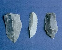 SEJARAH: Kebudayaan Ngandong