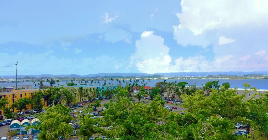 Andricia’s Tech blog📹: Proyecto #6 Diseño de una Galeria Digital en la ...