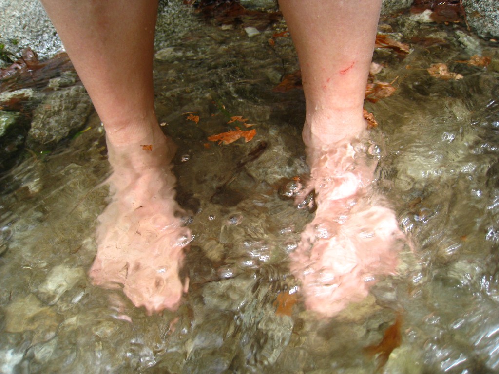 ~~ Momentaufnahmen ~~: Lakes, lakes, lakes. Und Falls - mal Wasser, mal ...