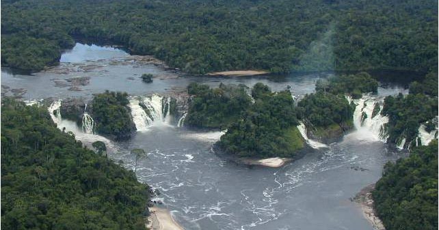 REVISTA ECOSOCIALISTA : EL CAURA LA RESERVA NATURAL MAS MEGA DIVERSA ...