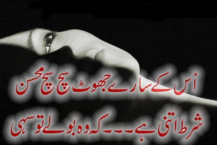 The Day That Everything Changed: pakistani shayari