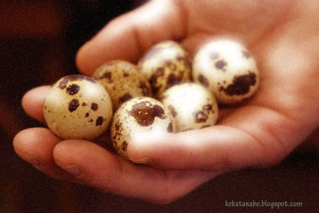 Vaga Anima: How to Make Special Kwek Kwek in 3 Easy Steps