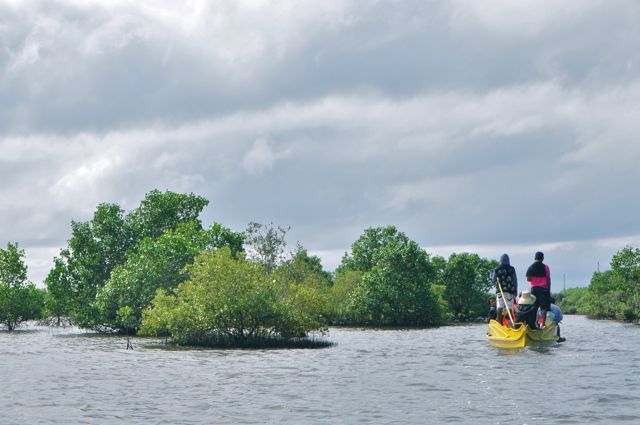 In Pinay's "Ciudad": LAYAG-LAYAG YELLOW BOAT VILLAGE: MANGROVES @ ZC ...