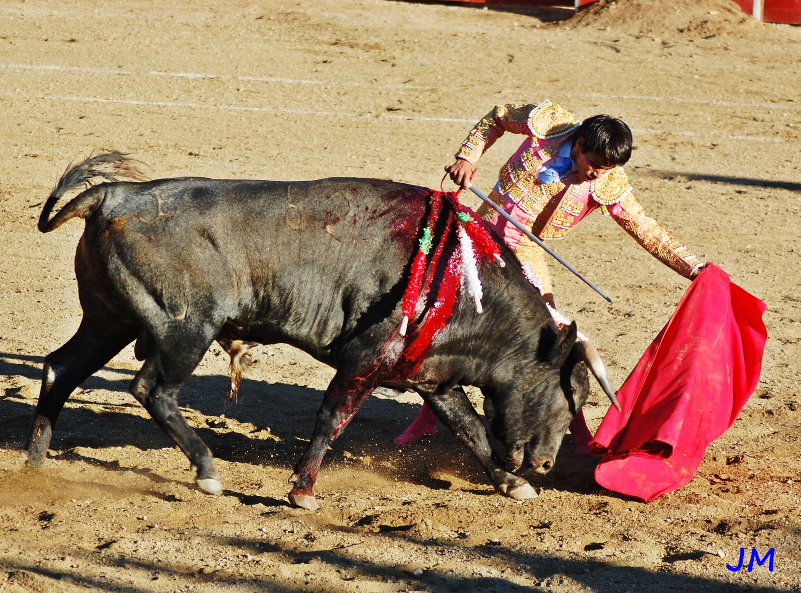 Josue Moreno: COLLADO MEDIANO NOVILLADA DE JOSE ESCOLAR
