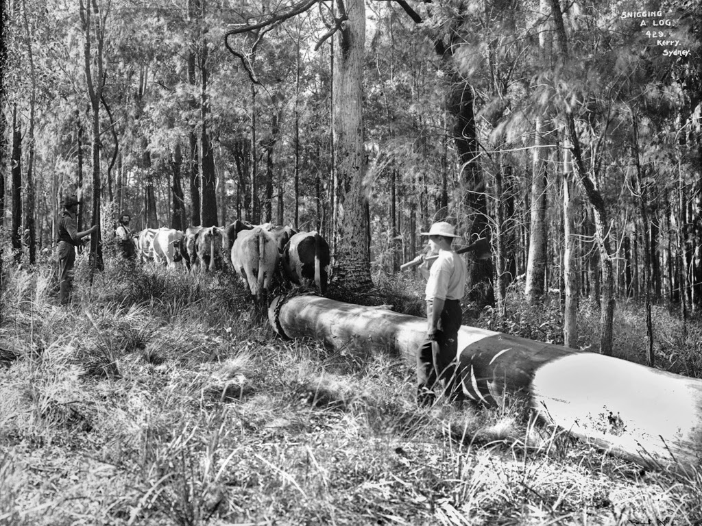 History in Photos: Vintage Australia