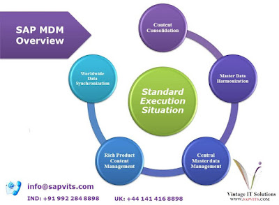 A General Idea of SAP Master Data Management