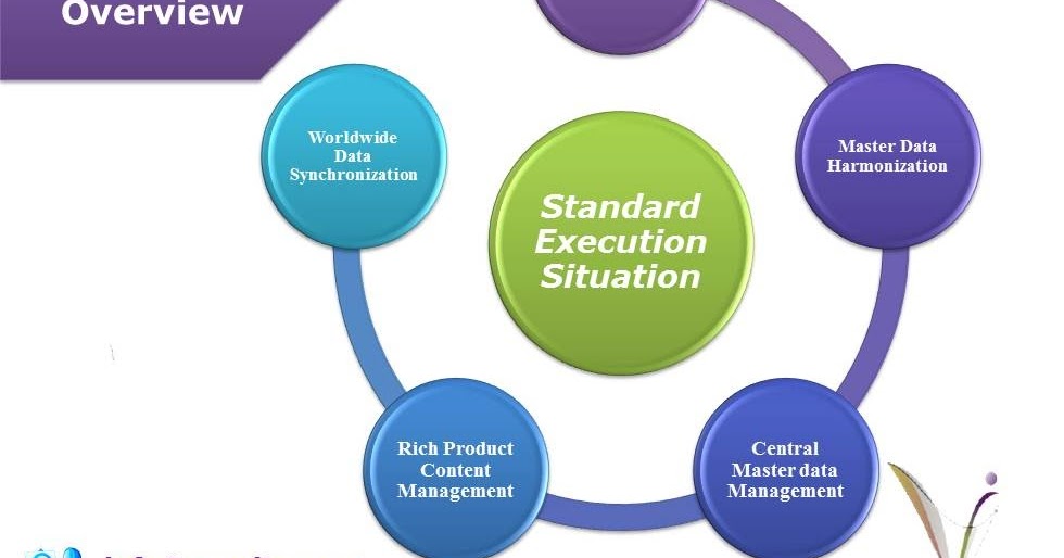 A General Idea of SAP Master Data Management