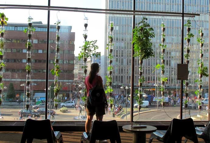 Green Revolution: How do window farms increase Food Security