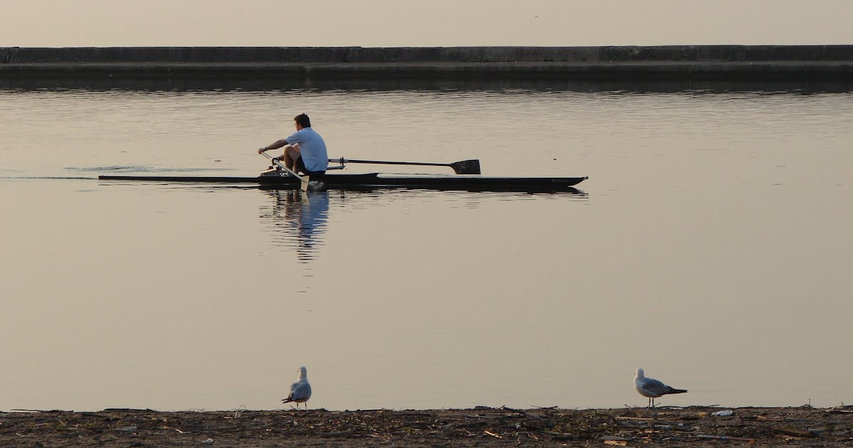 Row Boat: P Row Boat