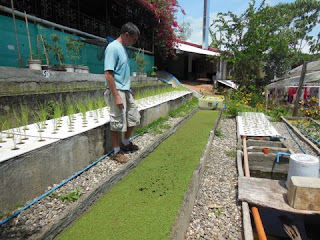 Waiting on the Rainy Season: An ECHO Asia Blog: Lessons learned from ...