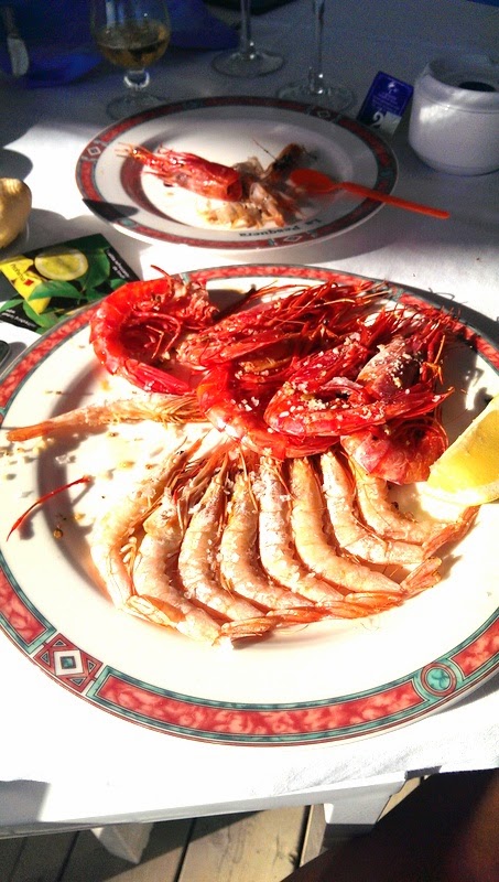 ELIKO HAAK : TRENN - TERVIS - LAPSED: MINU MENÜÜ