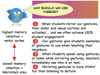 Miss L's Whole Brain Teaching: Whole Brain Teaching Wednesday! Mirror