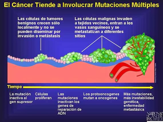 EL CÁNCER: ¿Qué es el cáncer?