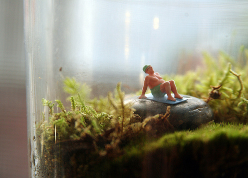 Sofunkylicious: Des miniatures dans la nature