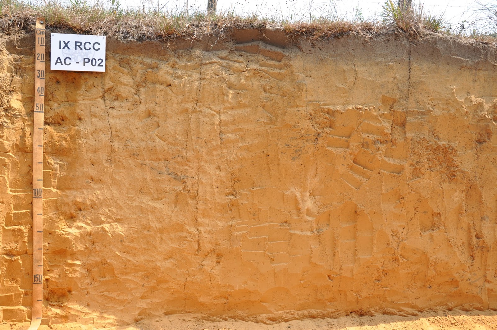 Professor Moisés de Oliveira: Características do Latossolo