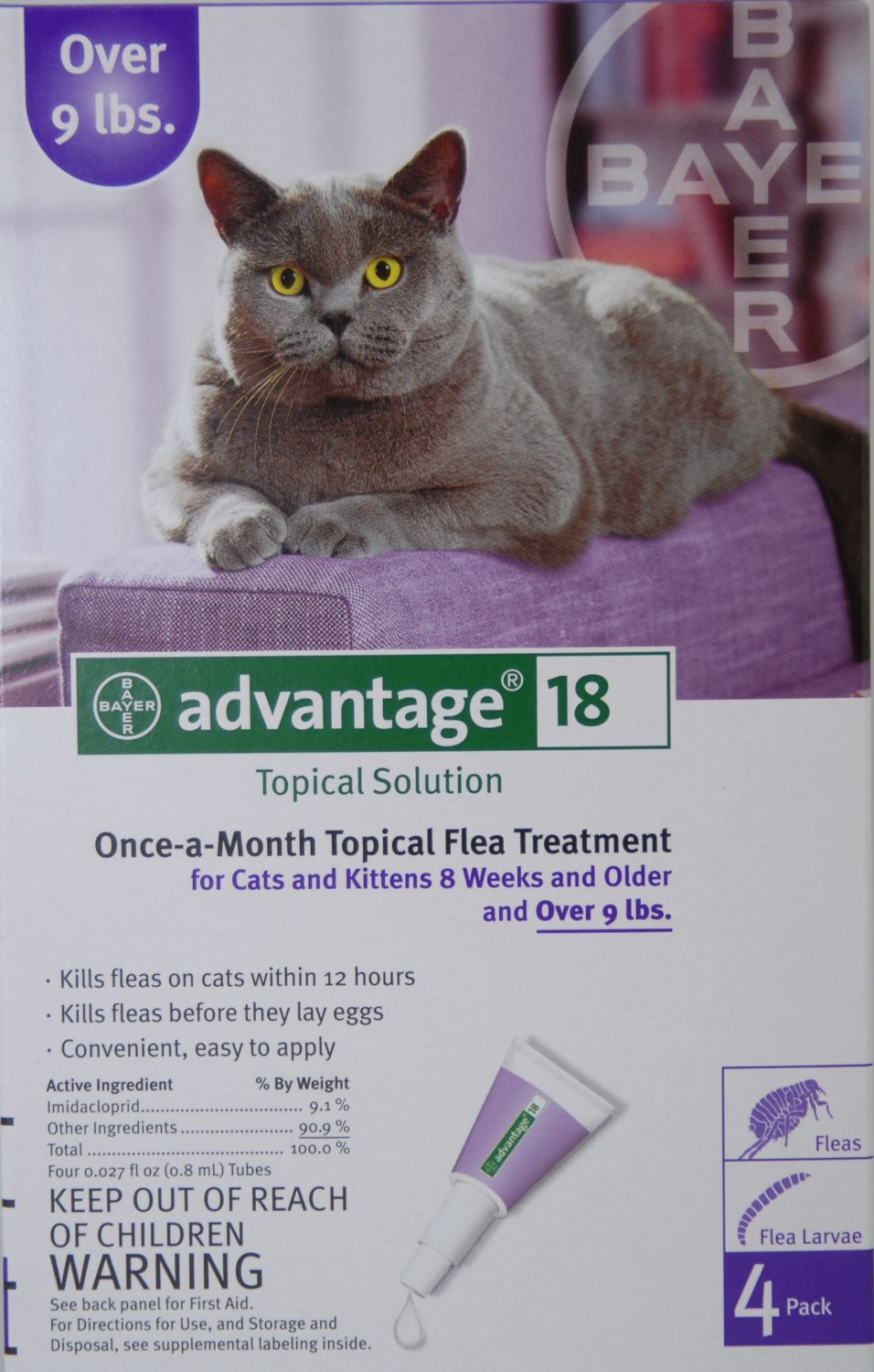 Best Flea Control Product For Cats And Kittens | Animal food chain for ...