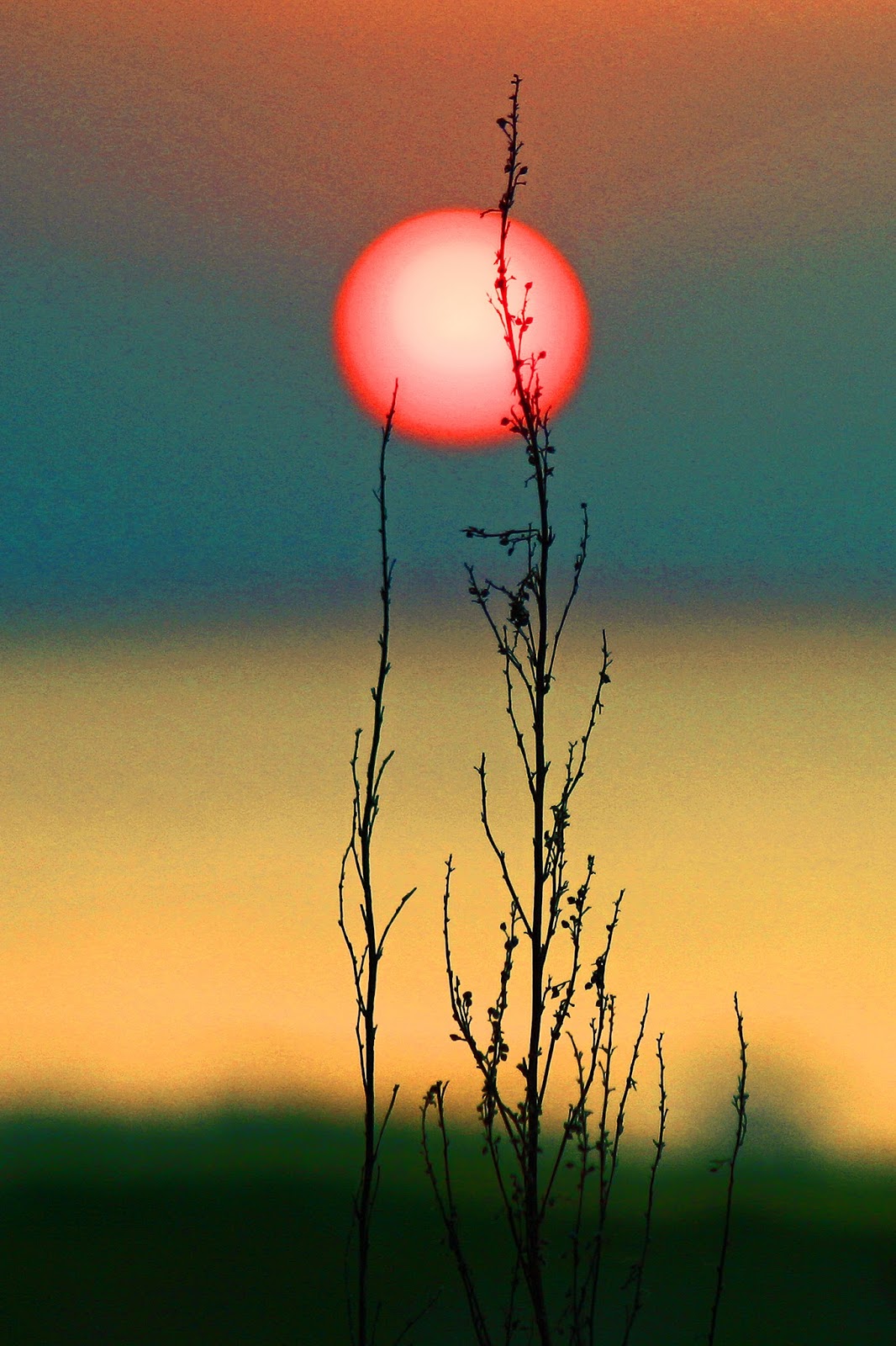 Stuff in the Basement: Easter Dawn and a poem