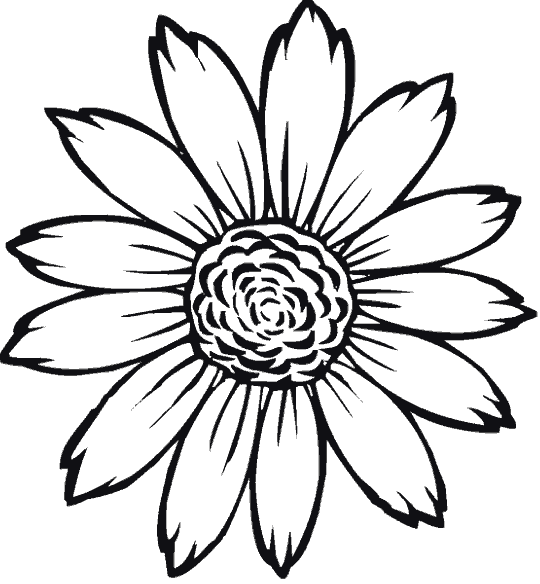 Imagenes de flores sin colorear - Imagui