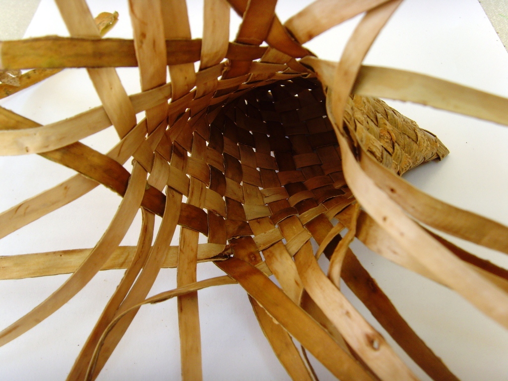 storylines: A New Line