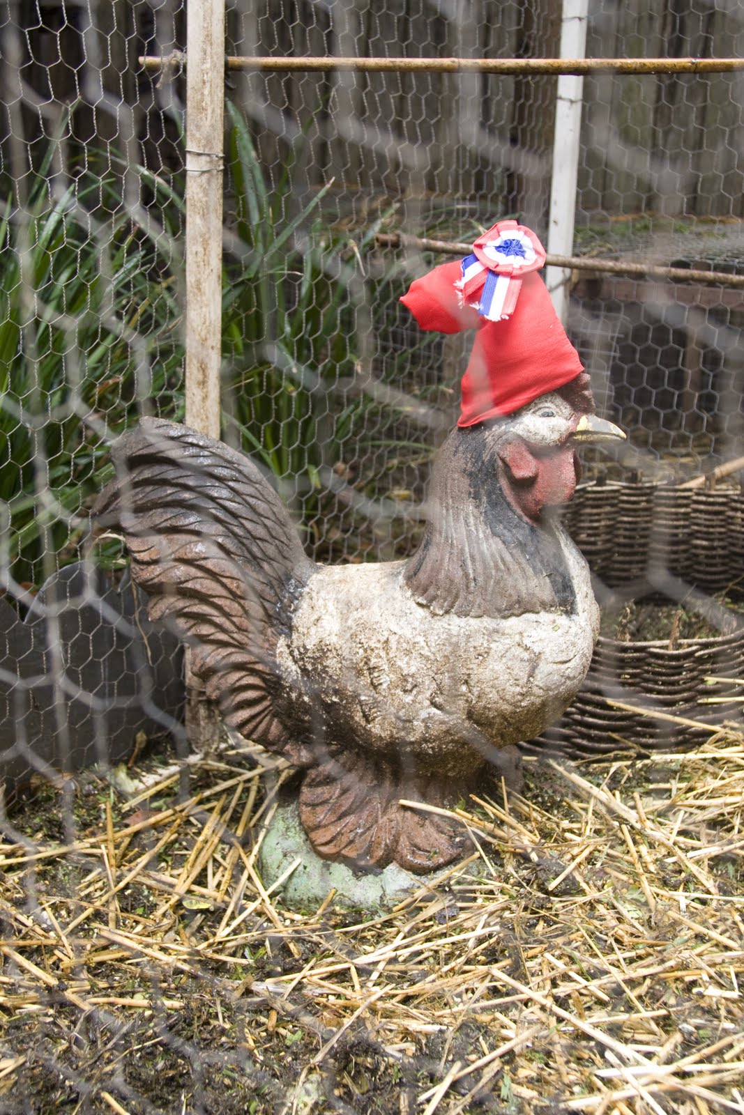 French Blue and Peachy Pink: A Shabby Chic Chook named Melanie.......