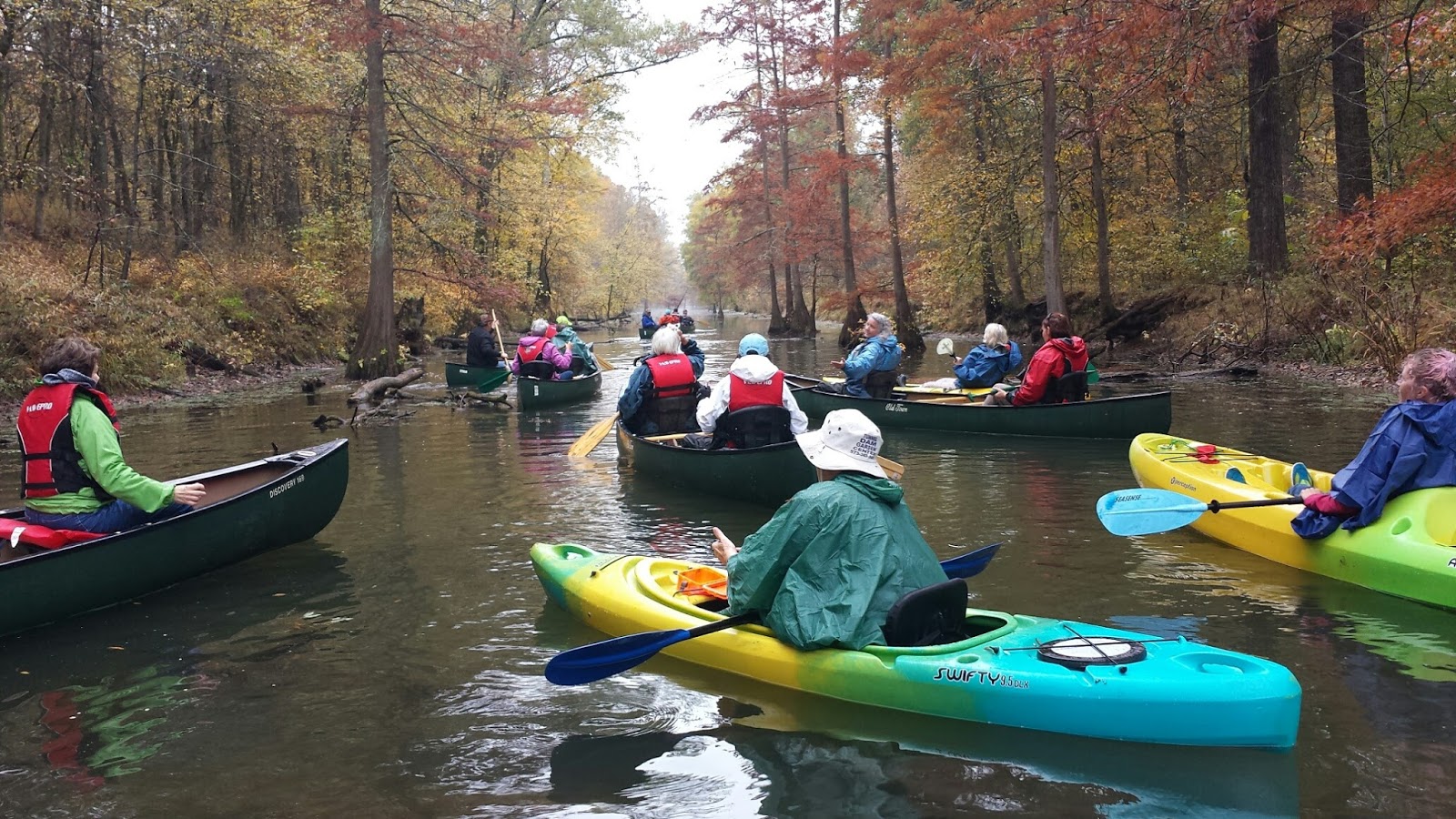 Intuitive Value: Wilderness - Mingo National Wildlife Refuge