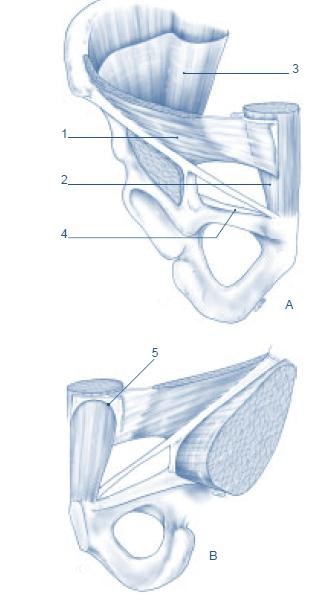 DR. JUAN HERNÁNDEZ ORDUÑA. : ANATOMIA QUIRURGICA DE LA REGION INGUINAL ...