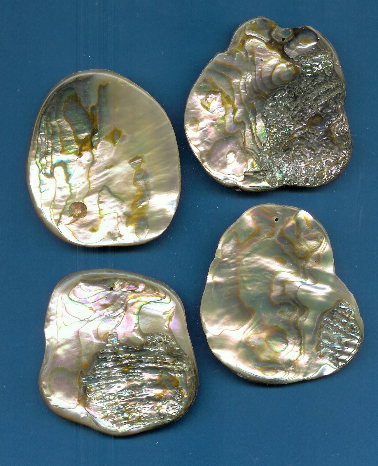 Cocopah Beads and Books: California Indian Shell Beads