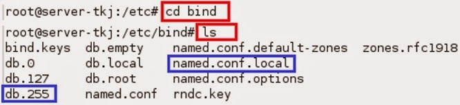 TEKHNIK KOMPUTER DAN JARINGAN: Pengertian DNS Server, Konfigurasi DNS ...