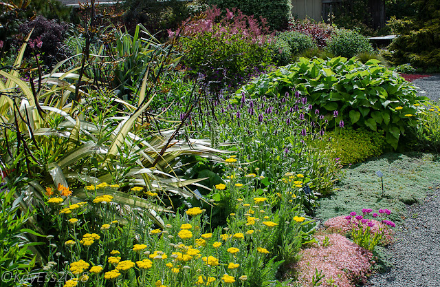 Edgings at Mendocino Coast Botanical Garden
