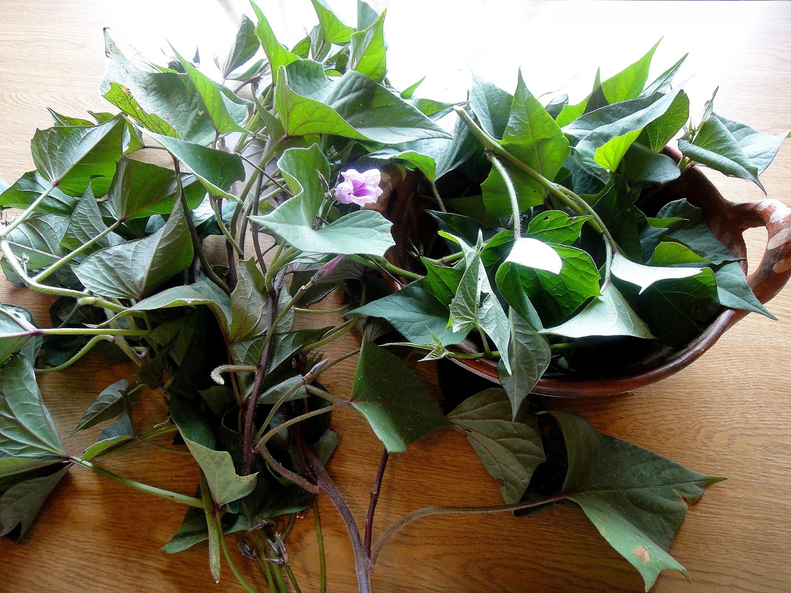 come-se: Folhas de batata doce