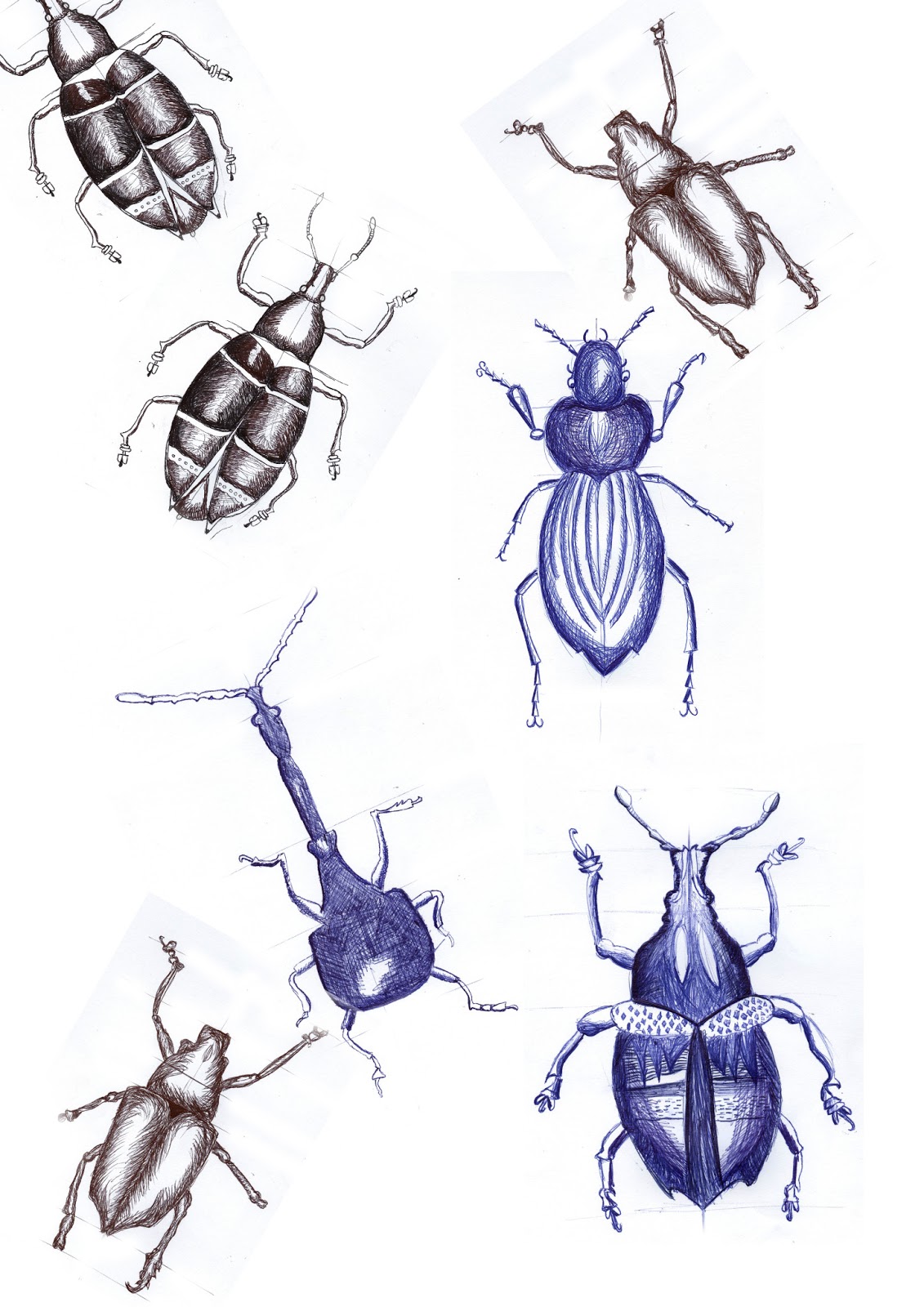 Creatief talent @ St.-Lutgart Beernem: Bic art, insecten met balpen ...