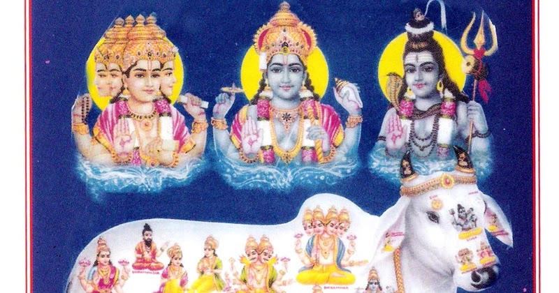 ANIMAL: The Story of "GOMATHA".