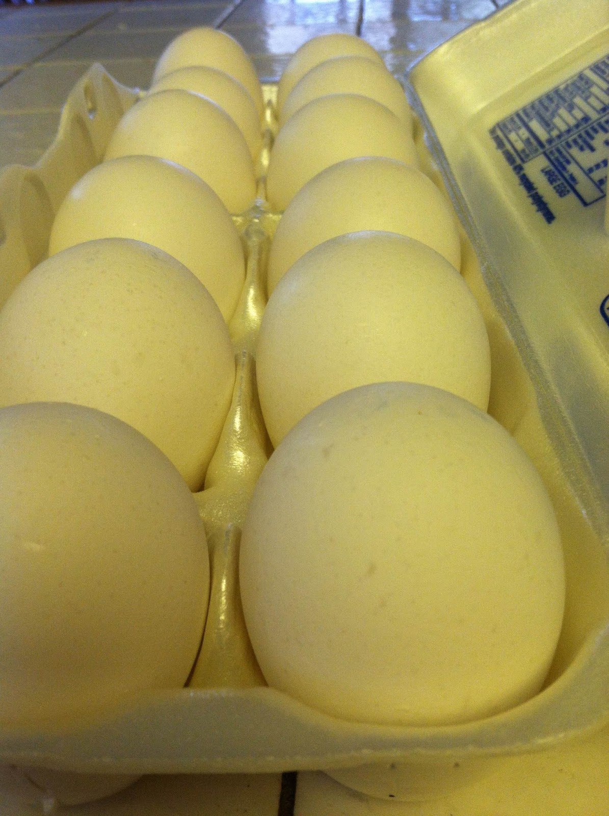 AP_Bio Knott: Types of Proteins: Storage Protein