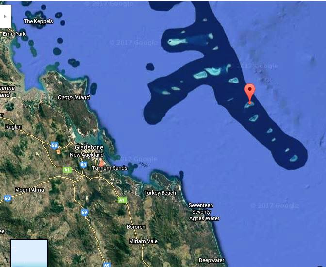 Dreamtime Sail: Fitzroy Reef - Another underwater wonderland.